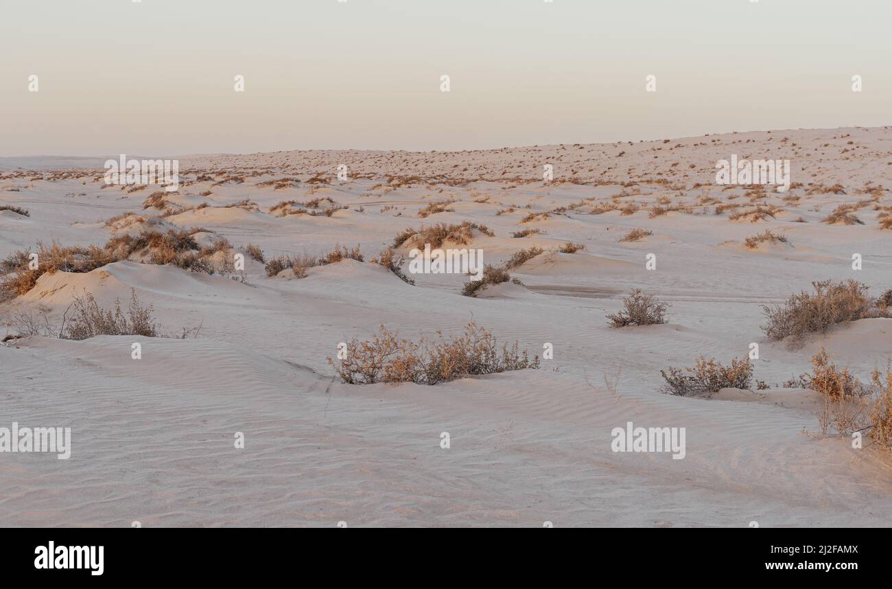 Top view on doha hi-res stock photography and images - Alamy