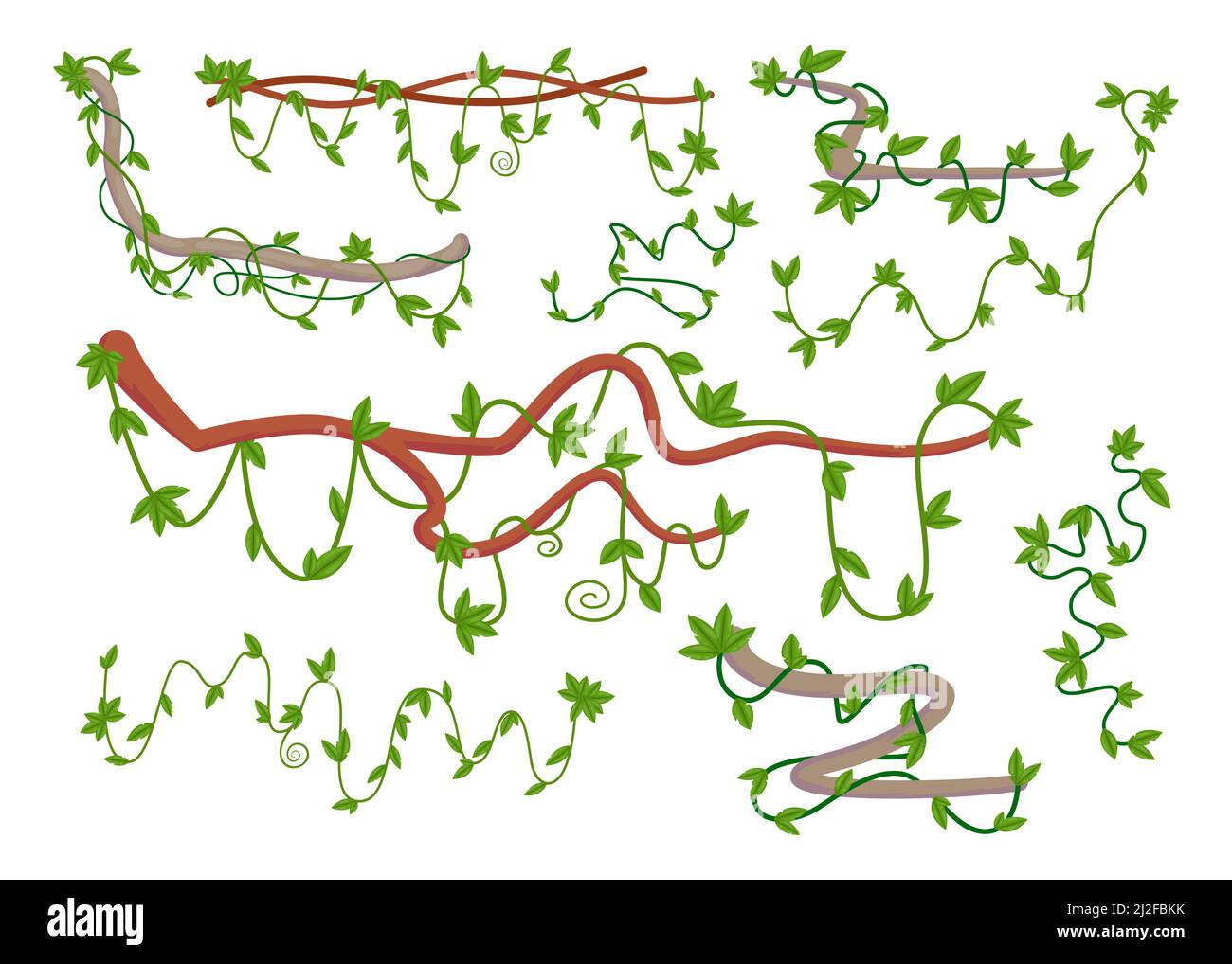 Creeper plant growing tree tree trunk Stock Vector Images - Alamy