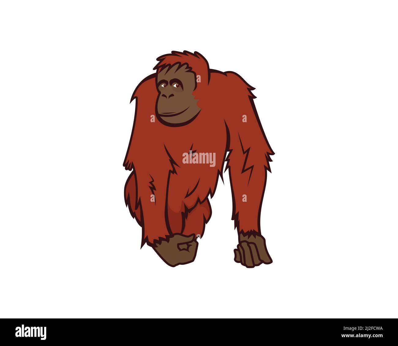 Detailed Orang Utan Posing Illustration Vector Stock Vector Image & Art ...