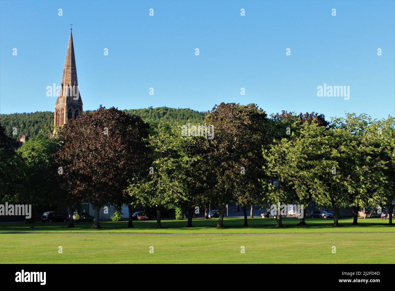 Tweed valley forest park hi-res stock photography and images - Alamy