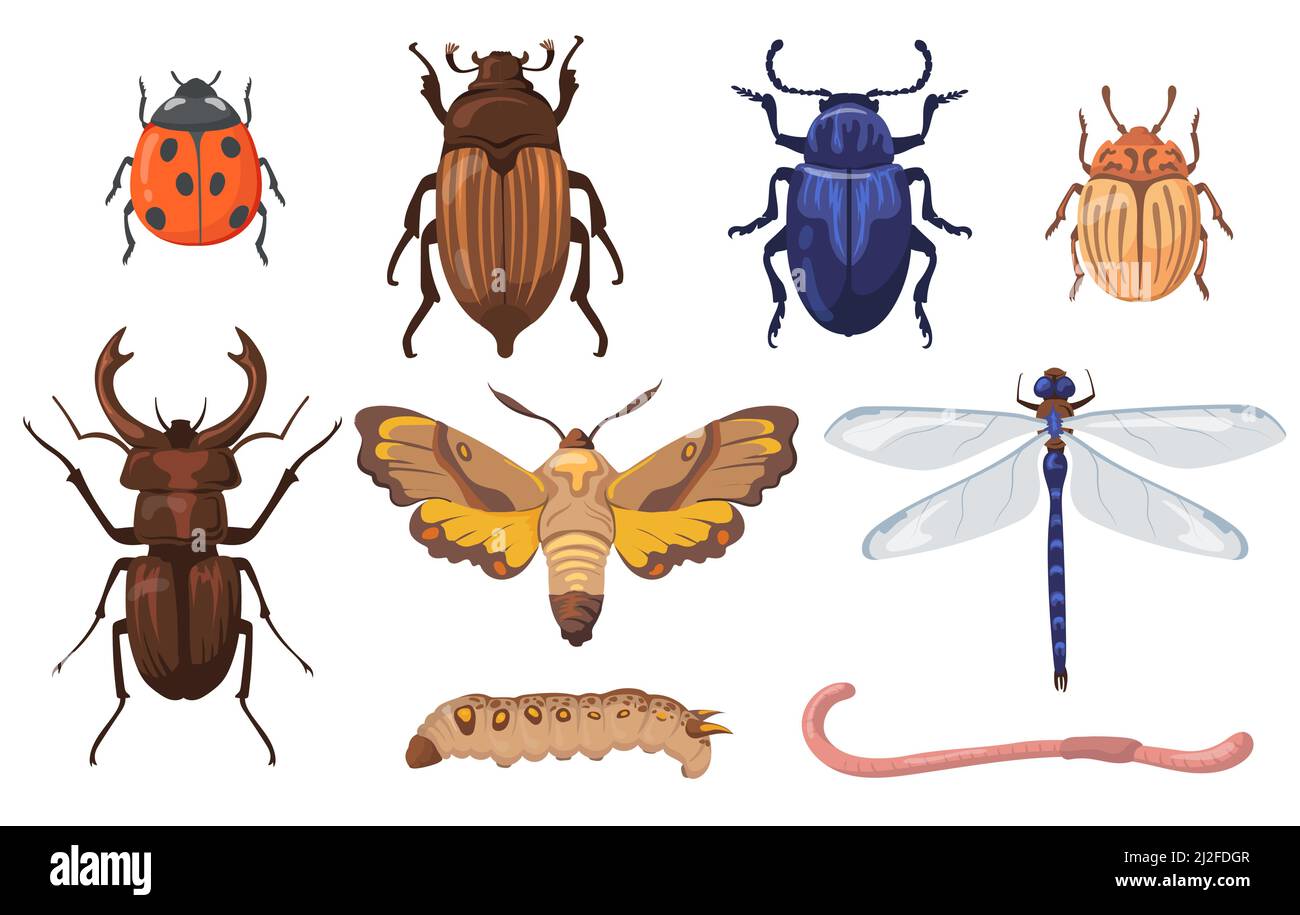 Colorful different insects, worms and bugs flat set for web design ...
