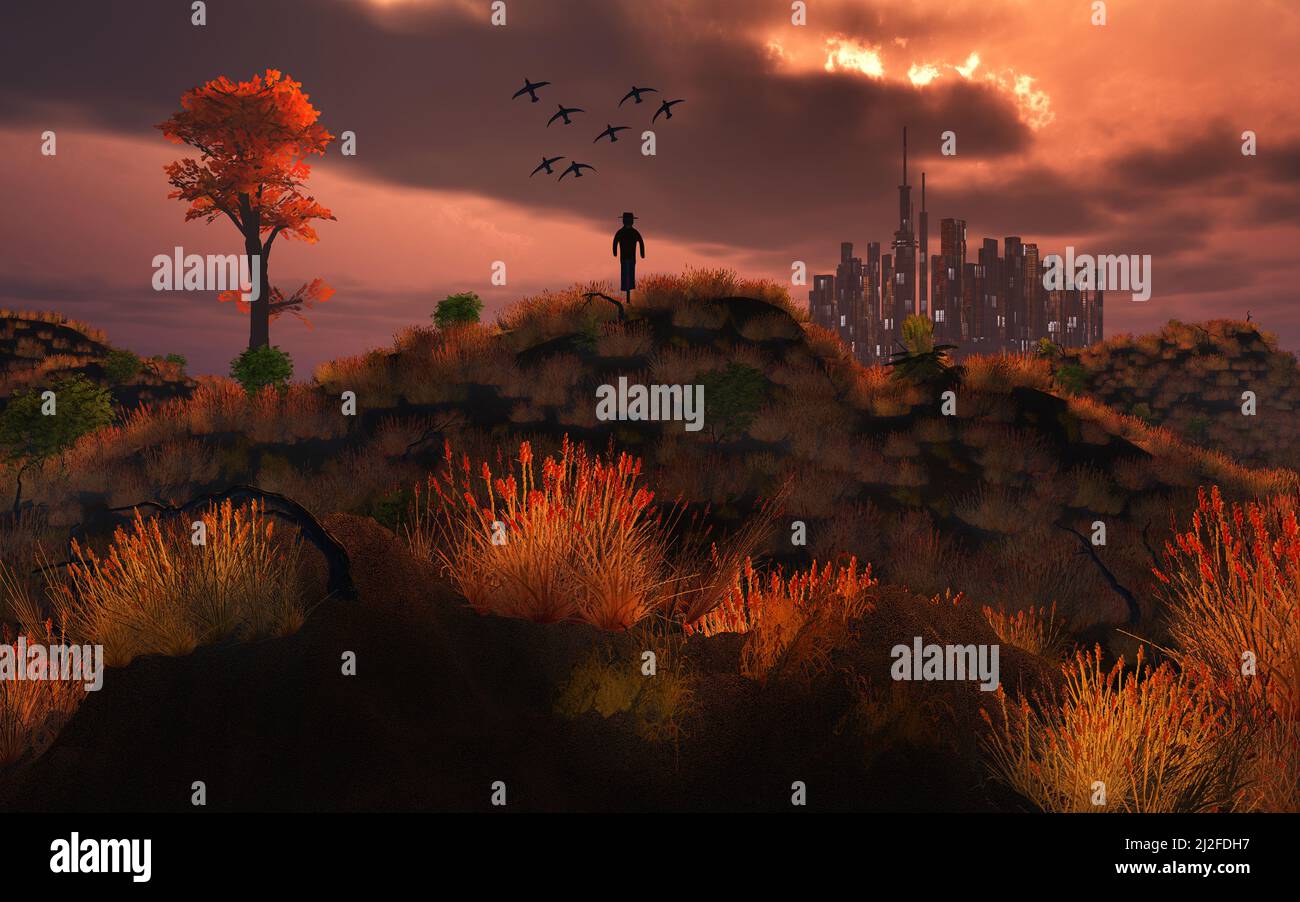 Surreal environment hi-res stock photography and images - Alamy