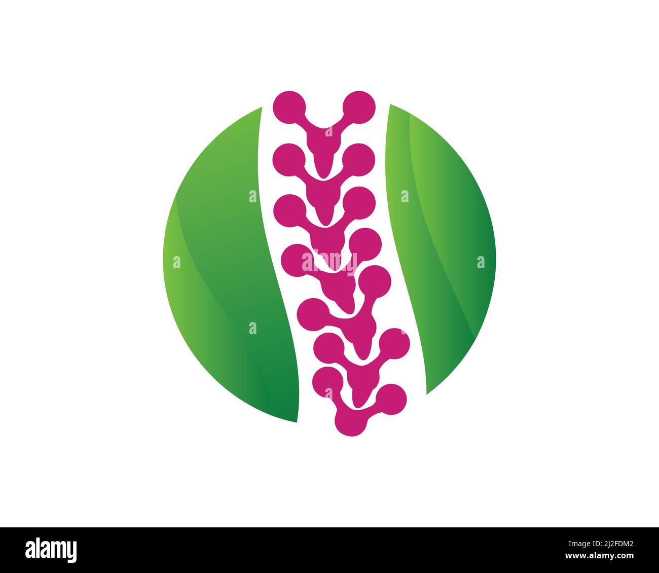Chiropractic Wellness Centre and Spine Care Symbol Stock Vector Image ...