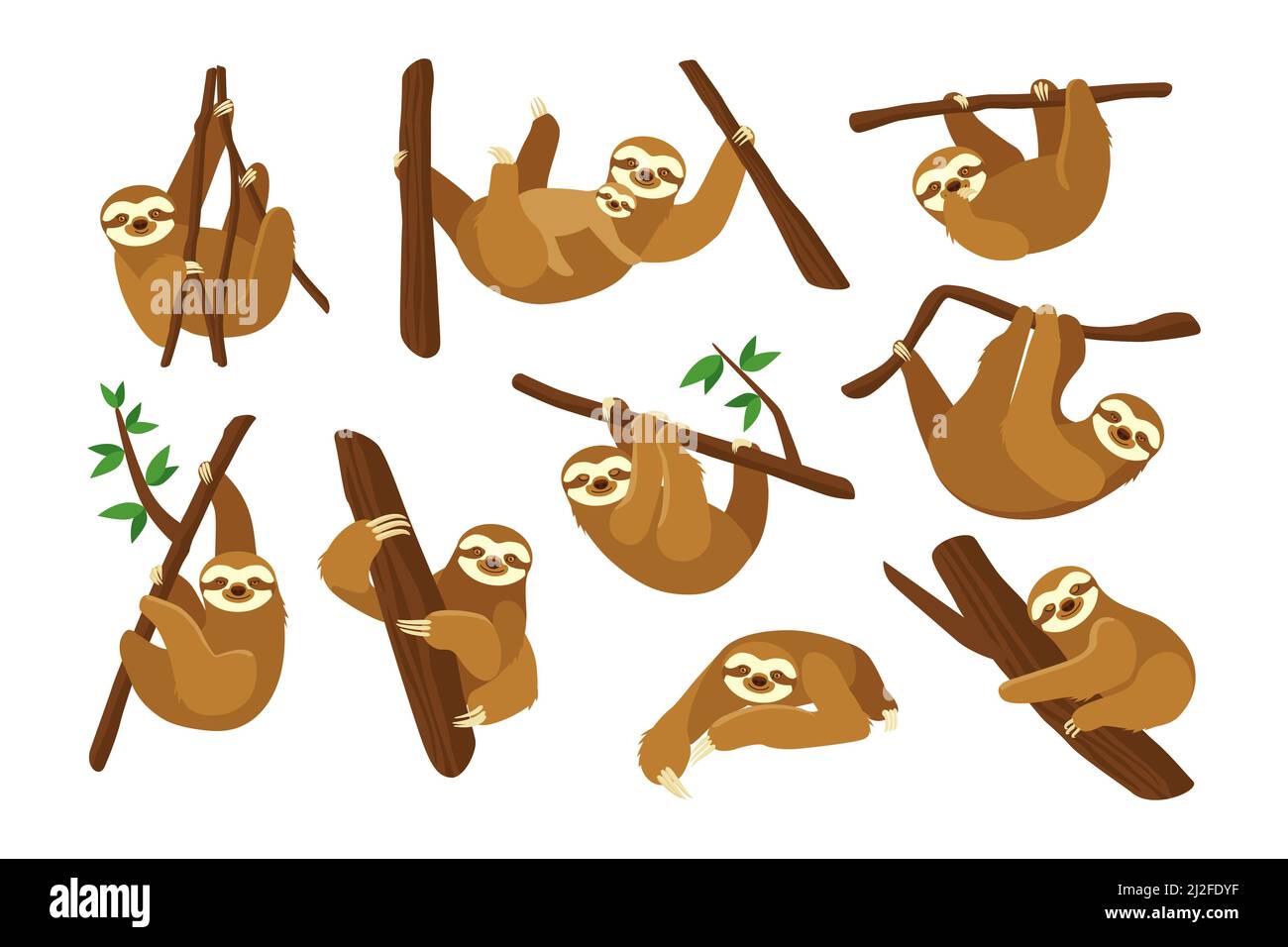 Cute sloth on branch flat pictures collection. Cartoon funny sloth ... Cute sloth on branch flat pictures collection. Cartoon funny sloth ...