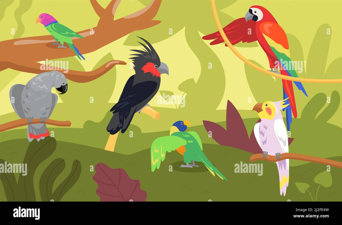 Parrots of the rainforest Stock Vector Images - Alamy