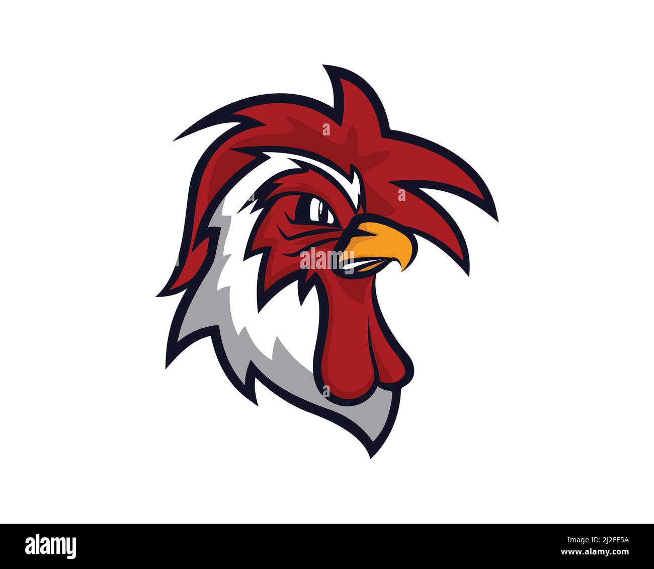Angry Chicken or Rooster Illustration Vector Stock Vector Image & Art ...