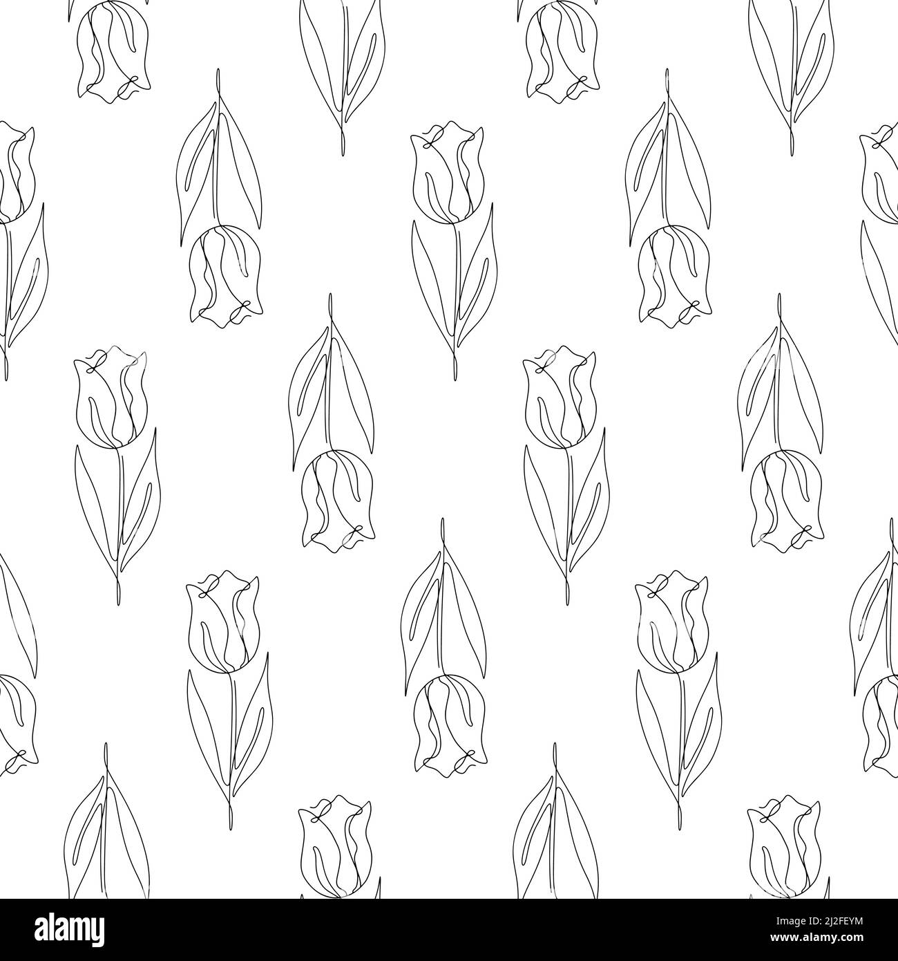 Monochrome seamless pattern with single line tulip flowers drawings ...