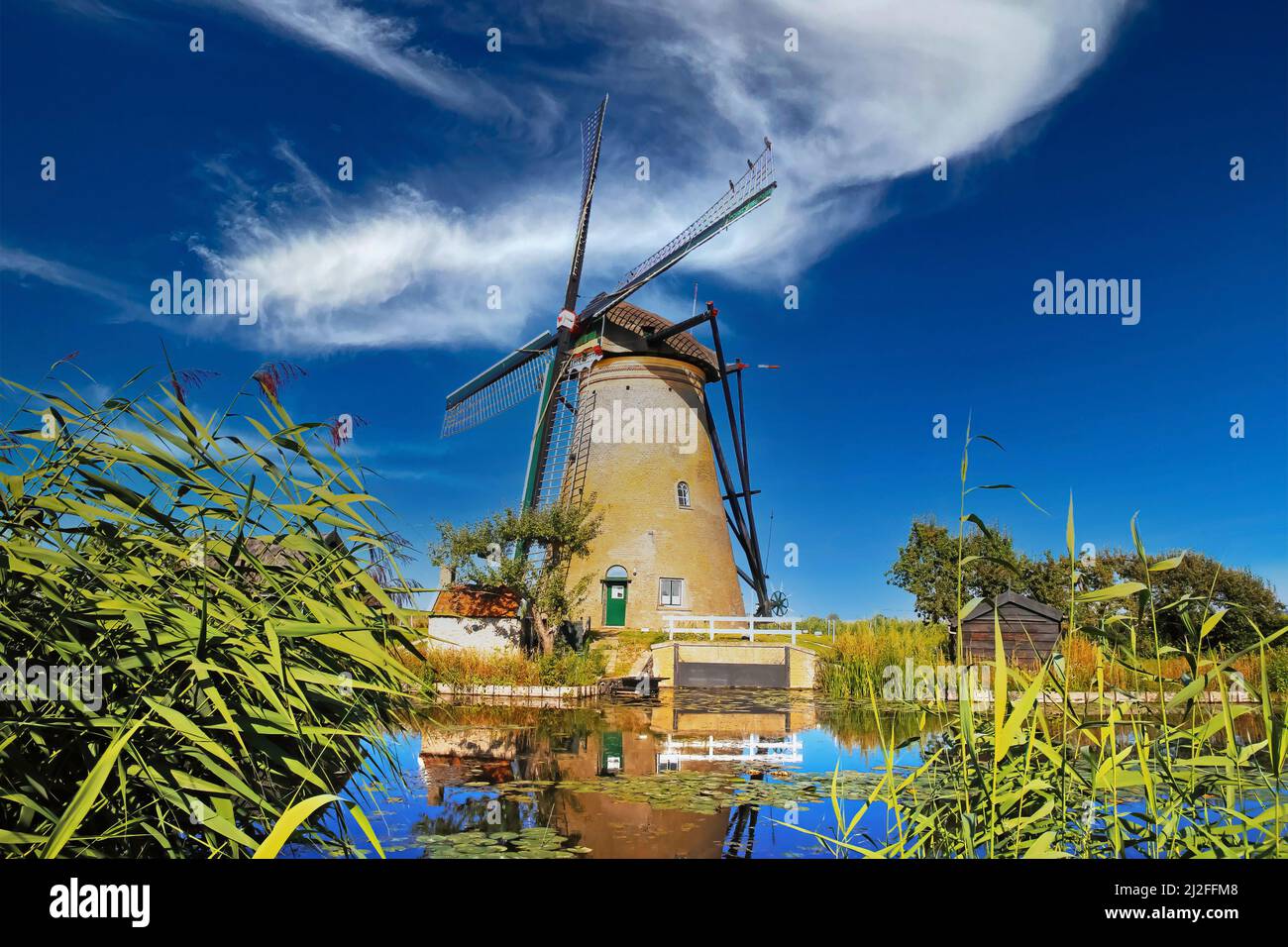 View beyond green reed grass over water canal on one isolated old ...