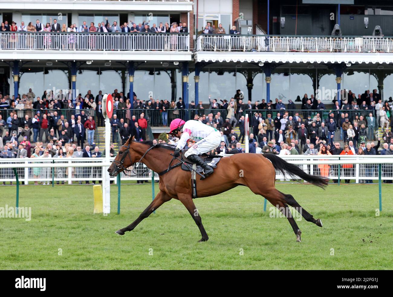 Ladies day coral scottish grand national ayr racecourse hi-res stock ...