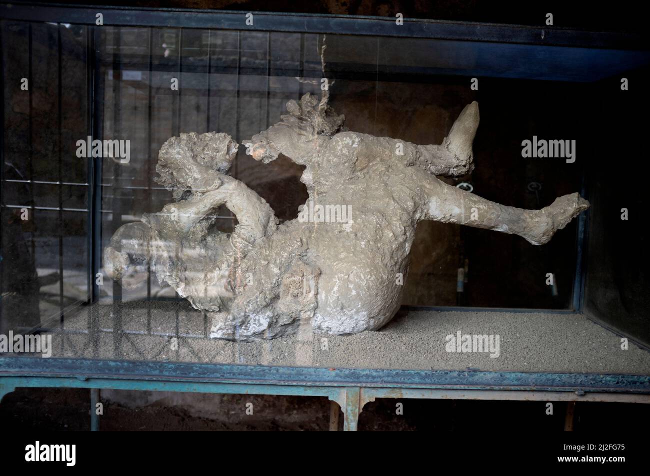 The cast of one of the victims of the volcanic eruption that destroyed ...