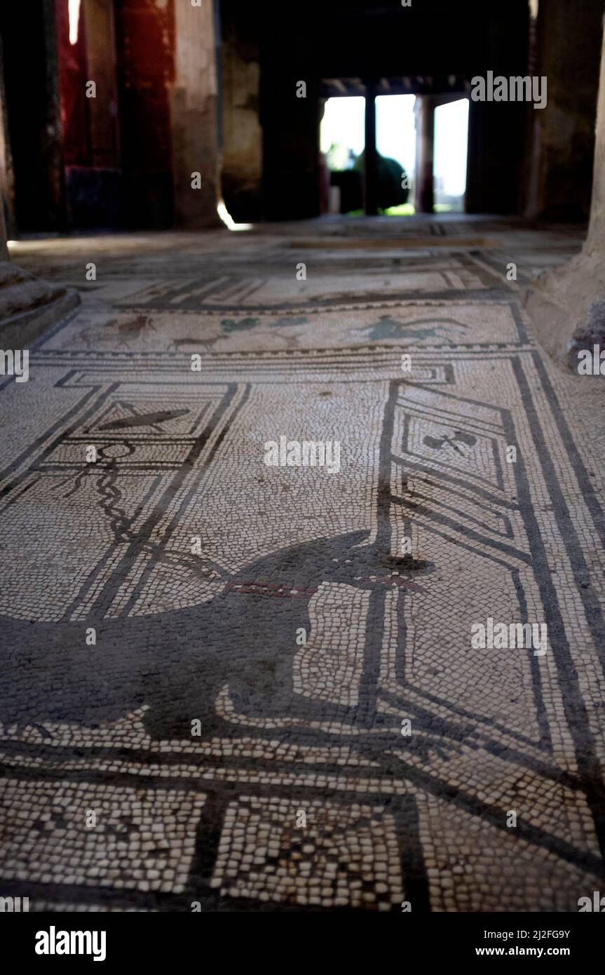 Pompeii floor tiles hi-res stock photography and images - Alamy