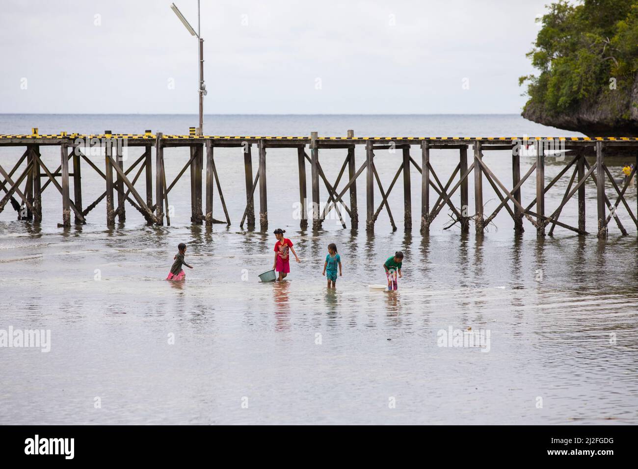 Children scavenge for crabs on the shores of Karampuang Island ...