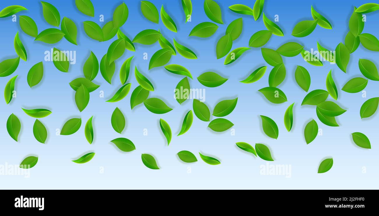Falling green leaves. Fresh tea neat leaves flying. Spring foliage ...