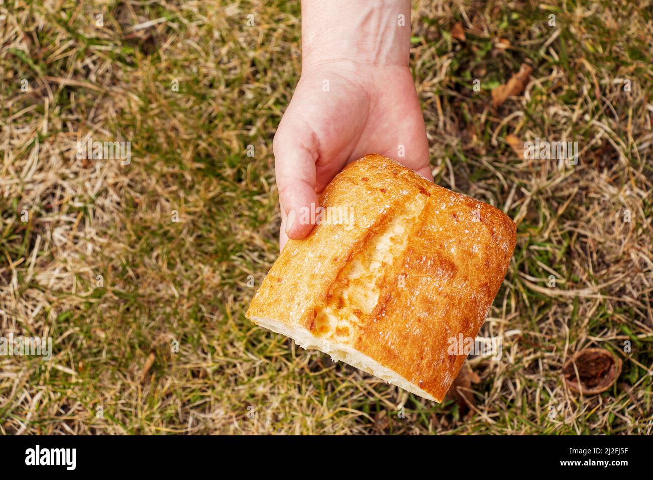 World war one charity hi-res stock photography and images - Alamy