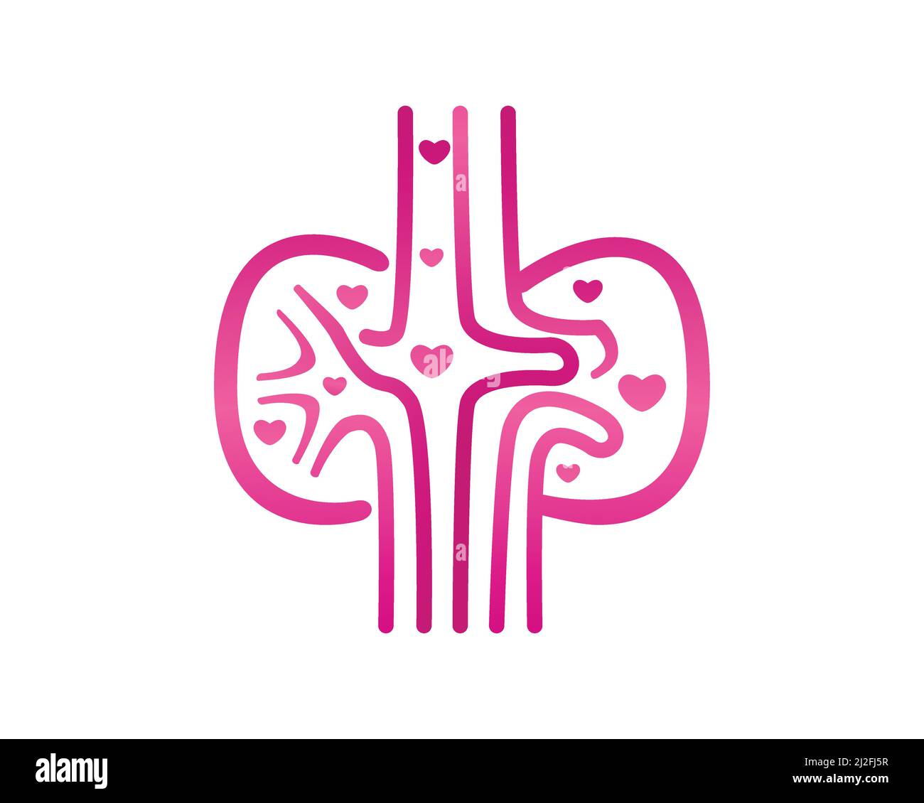Healthy Kidneys and Excretion Flow combined with Love Symbol Vector ...