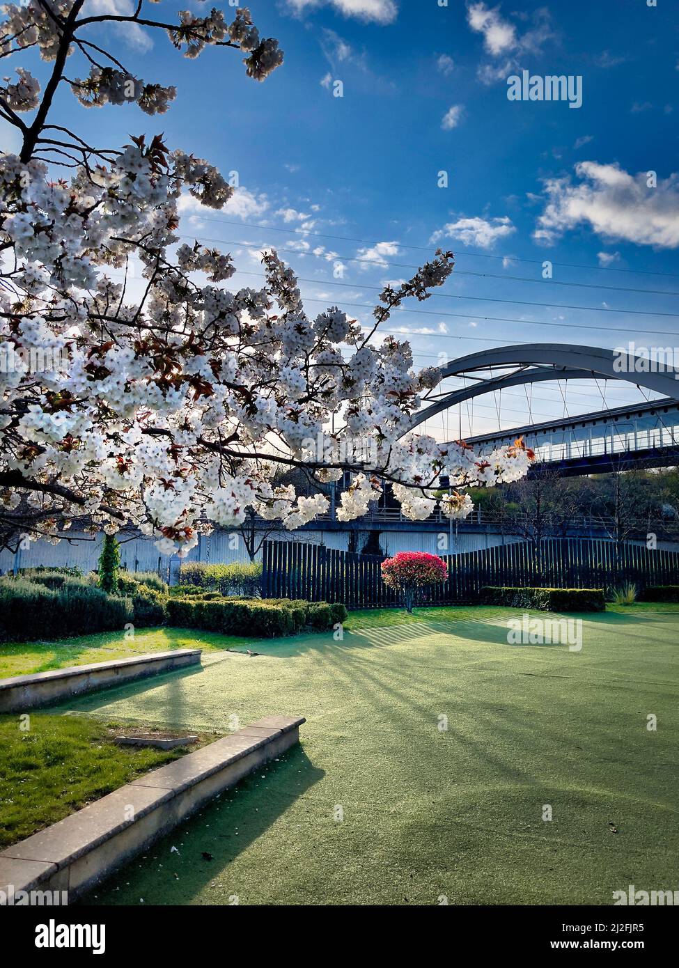 Spring blossom tree construction hi-res stock photography and images ...