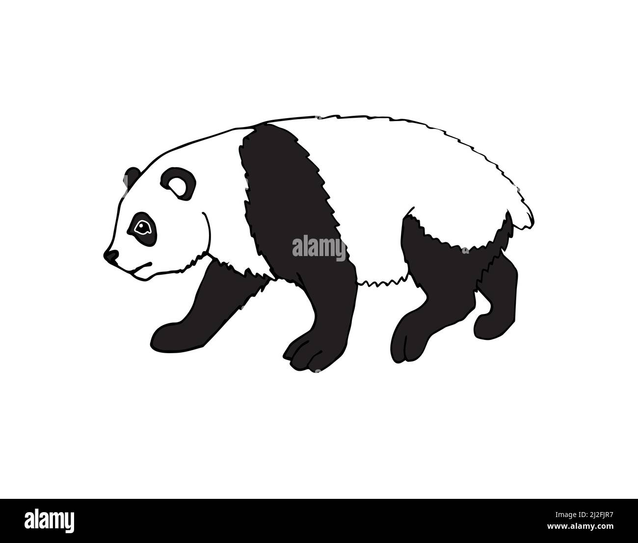 Vector black hand drawn sketch doodle panda isolated on white ...
