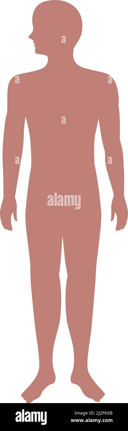 silhouette human body pink Stock Vector Image & Art - Alamy