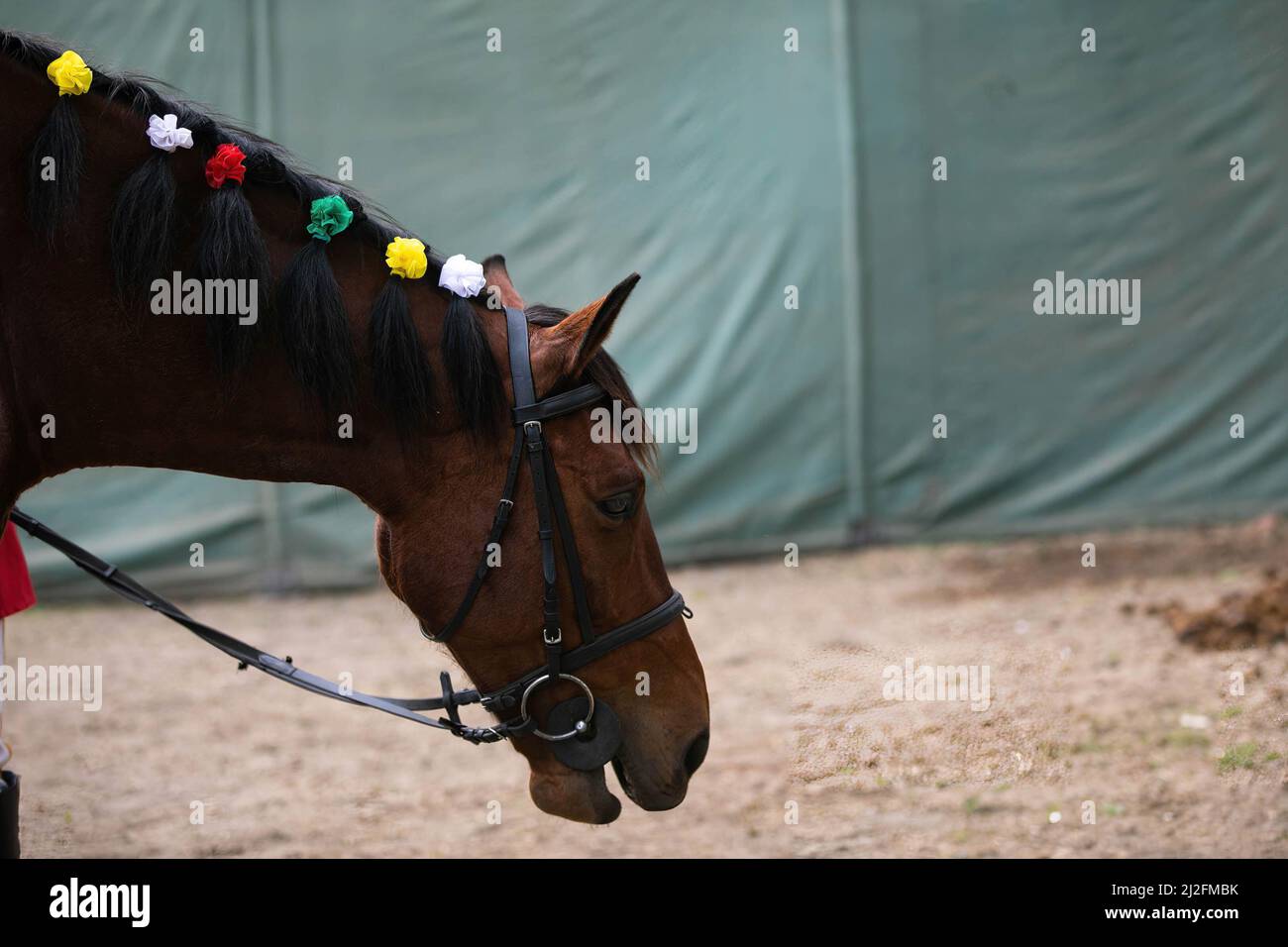 Nepal cavalry grounds hi-res stock photography and images - Alamy