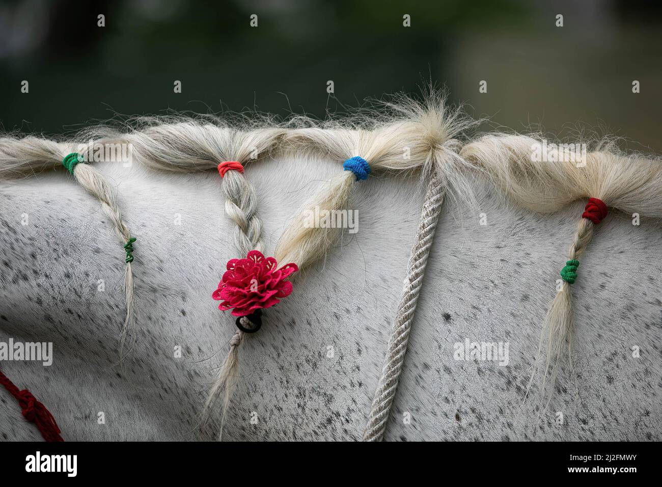 Nepal cavalry grounds hi-res stock photography and images - Alamy
