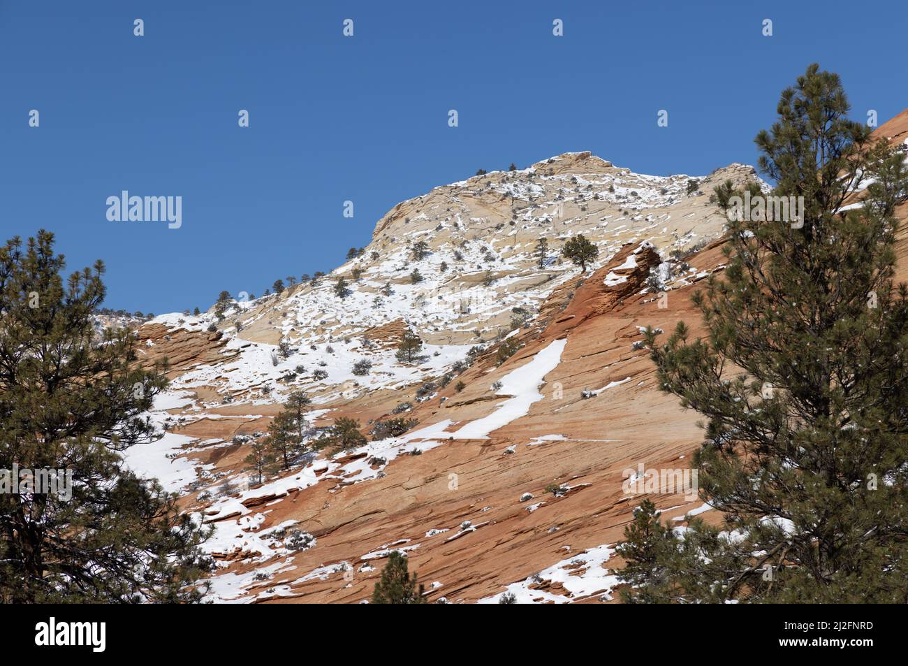 Snow Covered Landscape in Zion National Park Utah in Winter Stock Photo ...