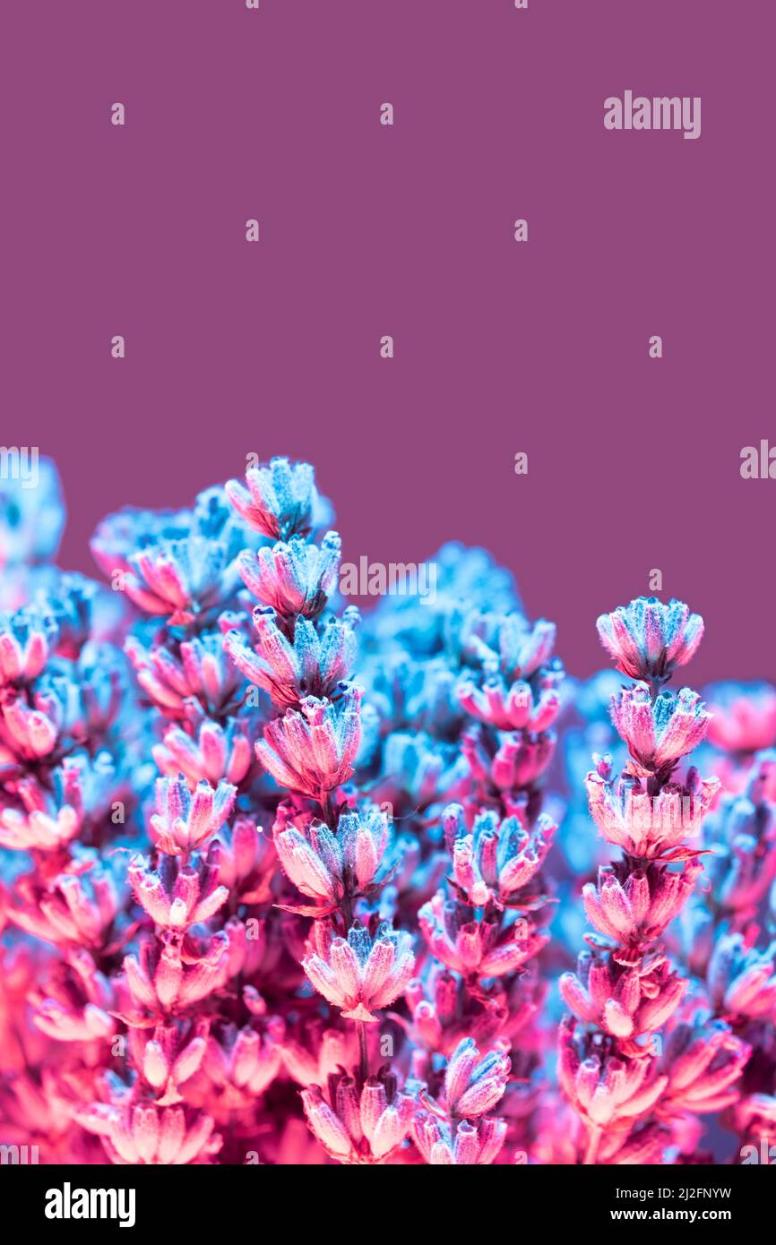 Dark teal nature hi-res stock photography and images - Alamy