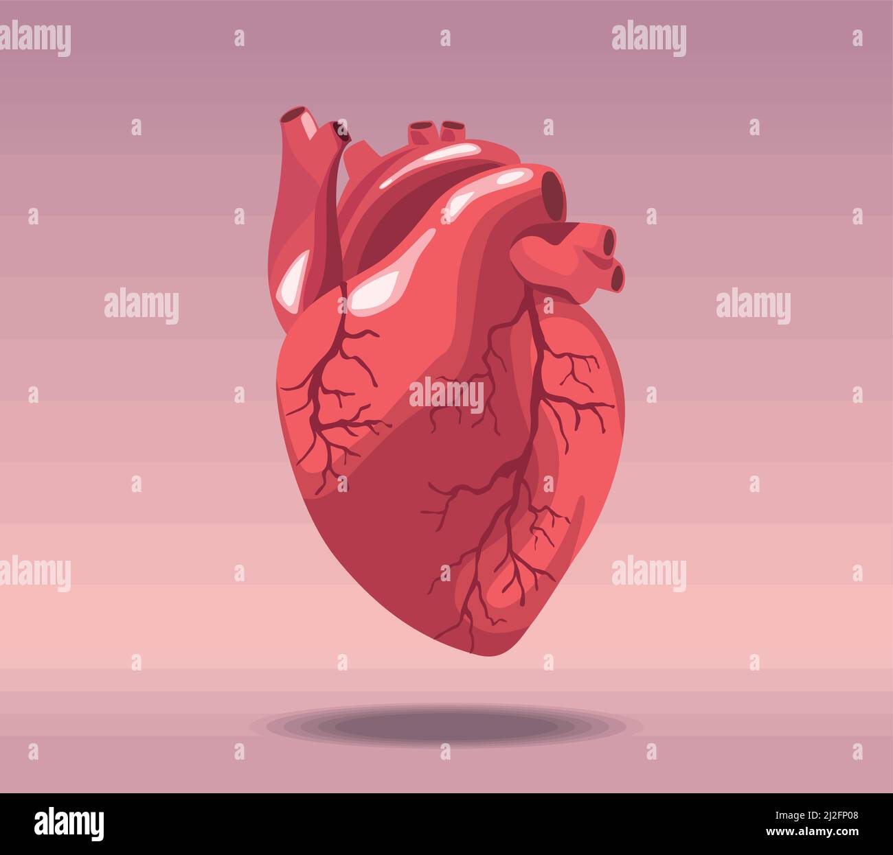 heart realistic human organ Stock Vector Image & Art - Alamy
