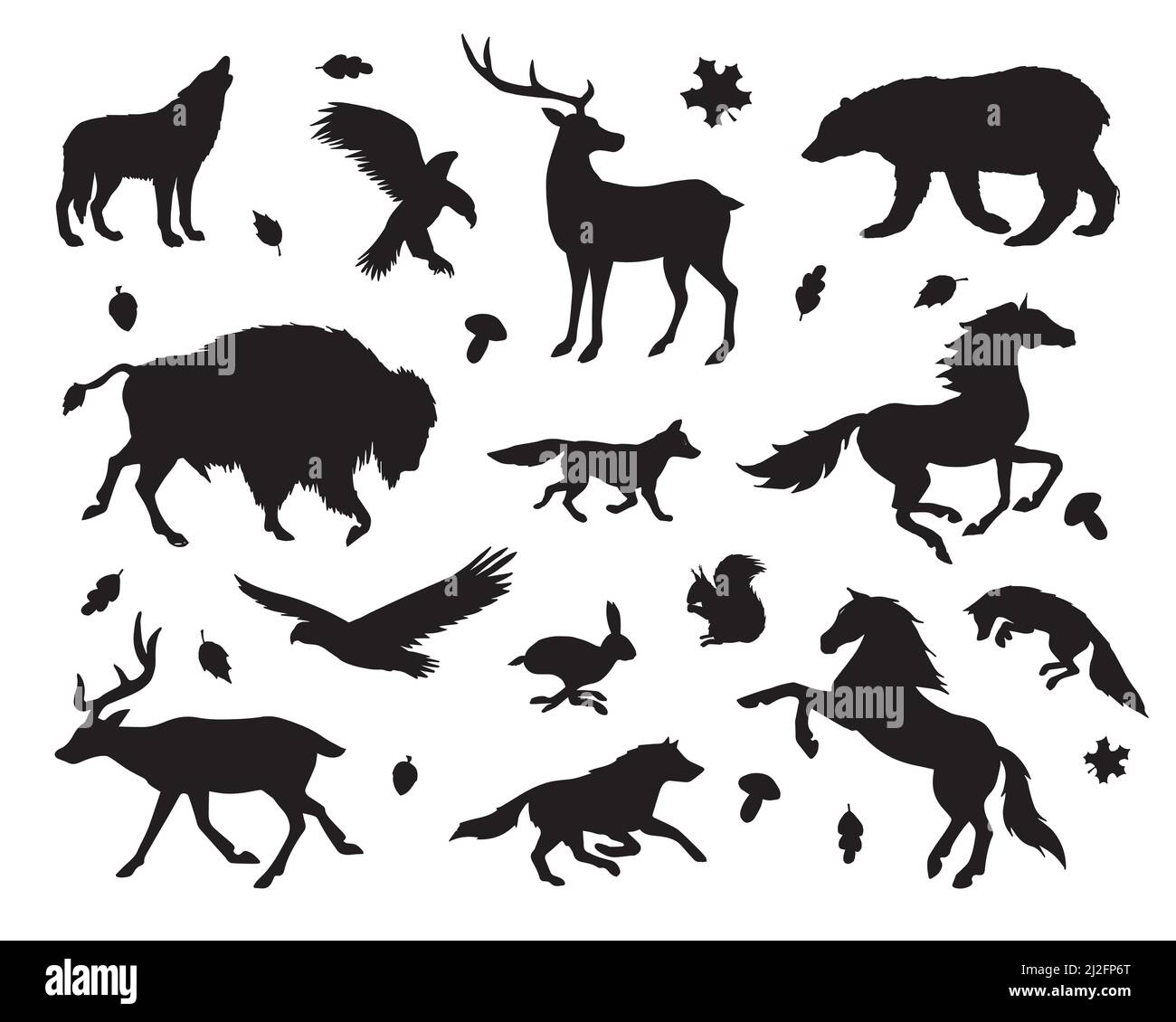 Vector black set bundle of wild American animals silhouette isolated on ...