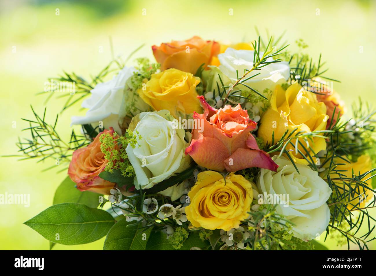 Colorful roses flower bouquet with nature background Stock Photo - Alamy