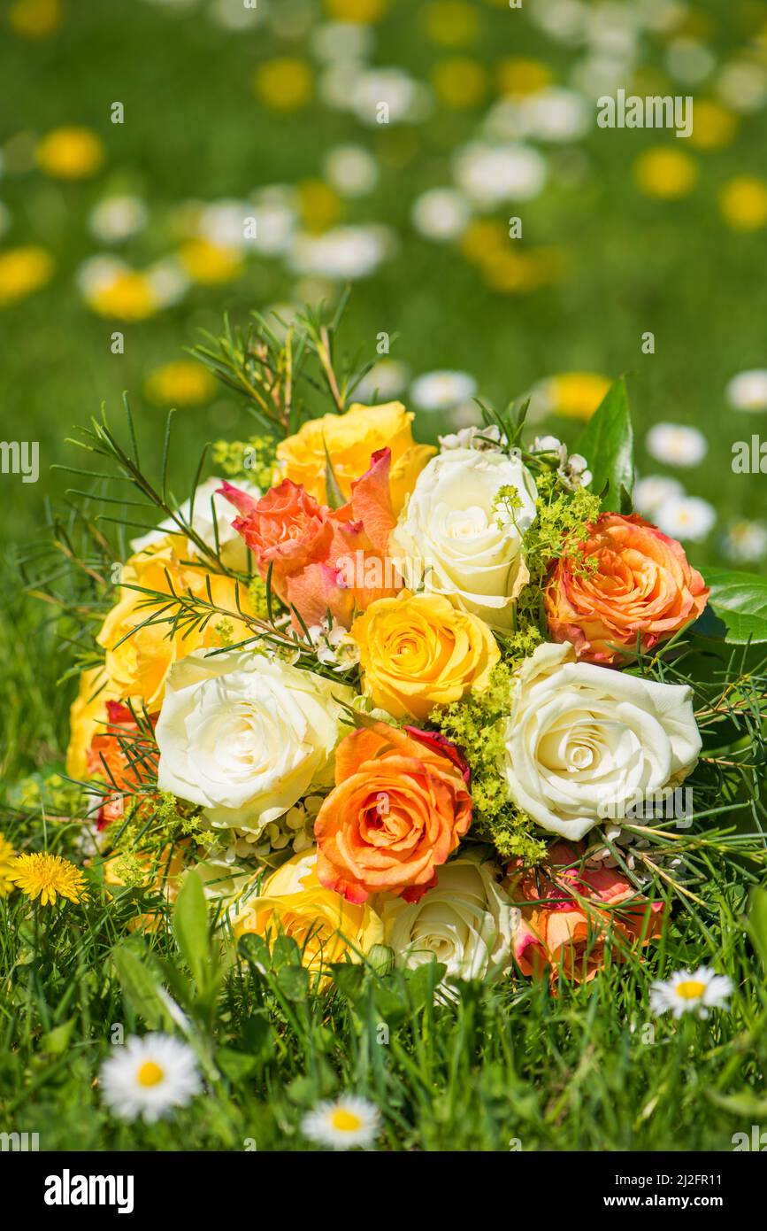 Colorful roses flower bouquet with nature background Stock Photo - Alamy