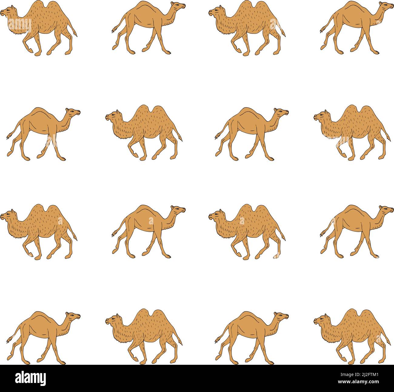 Vector seamless pattern of hand drawn sketch different camel silhouette ...