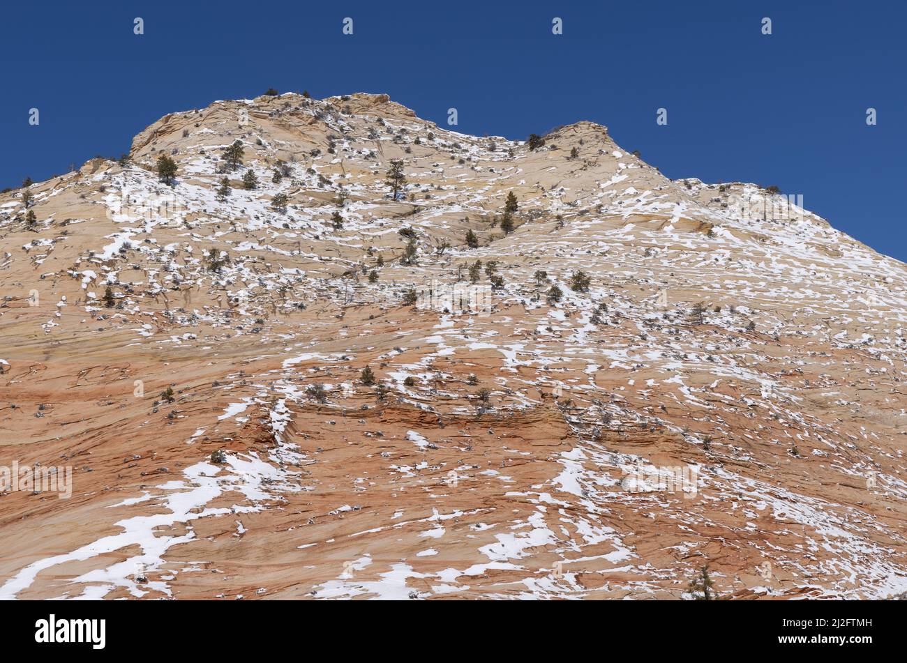 Snow Covered Landscape in Zion National Park Utah in Winter Stock Photo ...