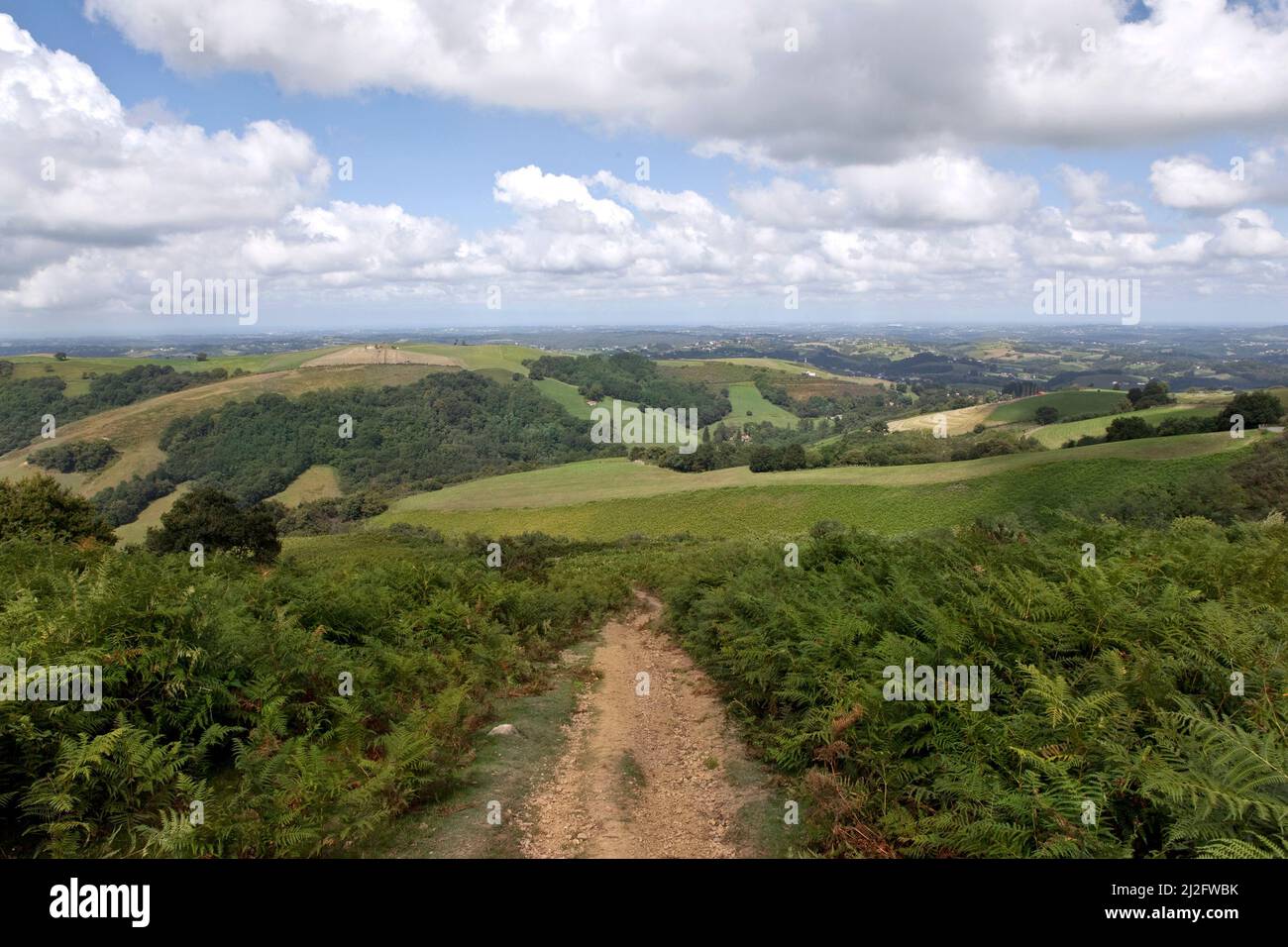 Ferns and countryscapes in French Pays Basque Stock Photo - Alamy