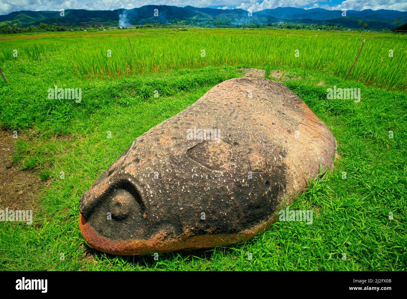 The shape of this statue is equipped with with a face that has 2 (two ...