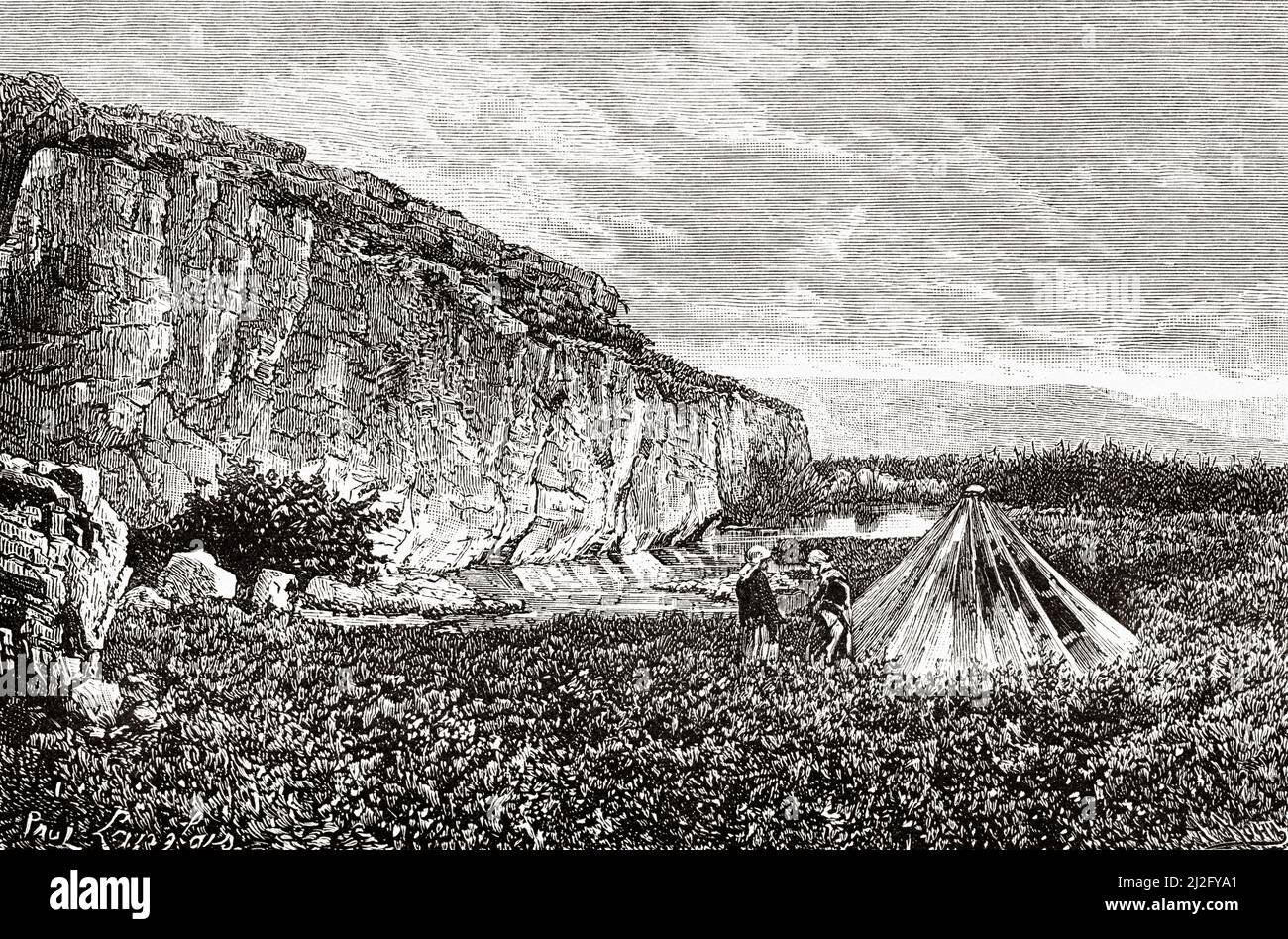Field of thistles in Bethsaida, Sea of Galilee. Israel, Middle East ...