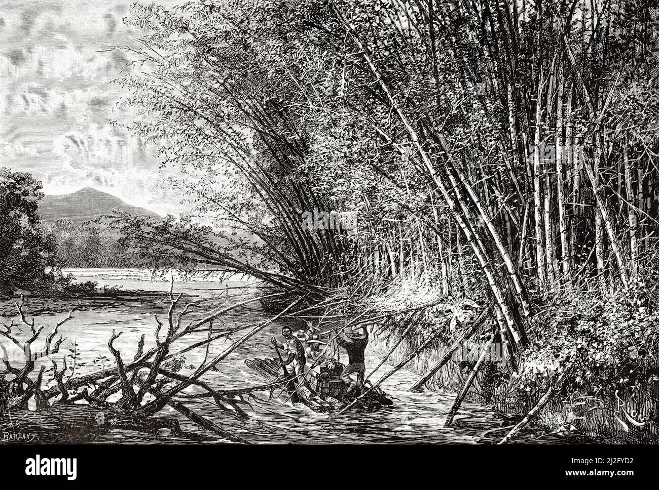 Sailing through the bamboos, Guaviare river, Colombia. South America ...