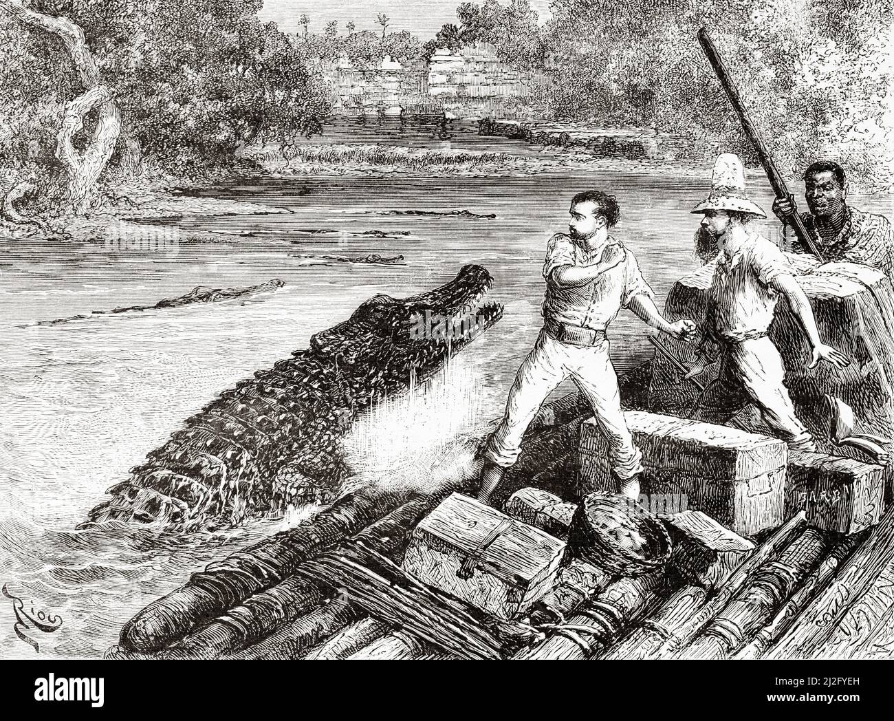 Attack of a large alligator on the raft of the explorers, Guaviare ...