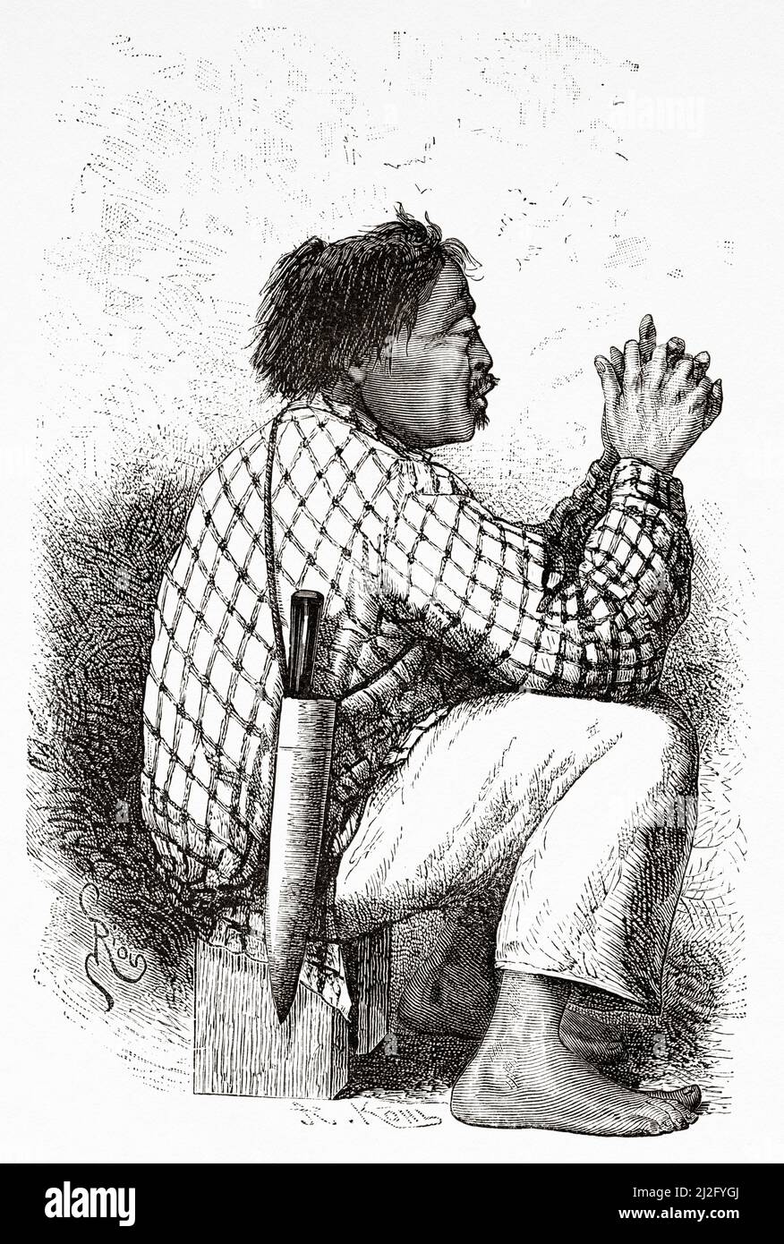 Sapoara Cut Out Stock Images & Pictures - Alamy