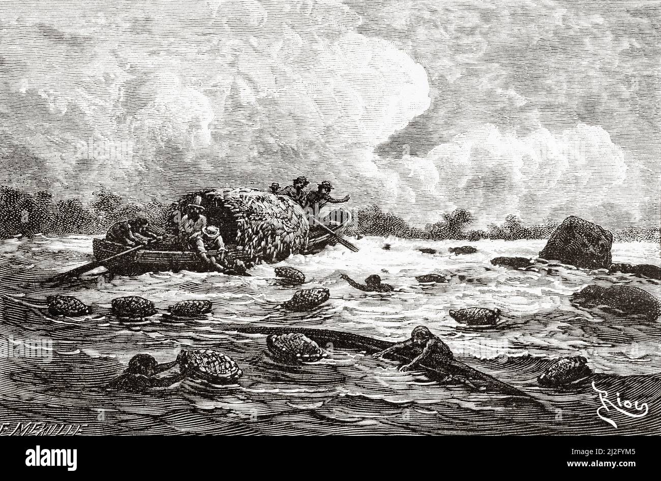 Raft accident in the Atabapo river, Venezuela. South America. Voyage of ...