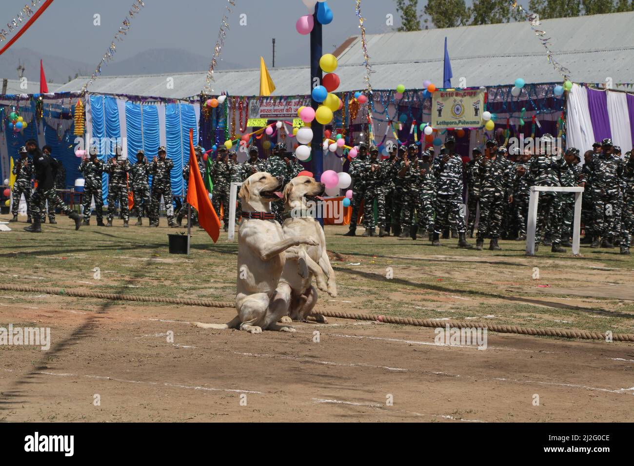 Raising day of crpf hi-res stock photography and images - Alamy