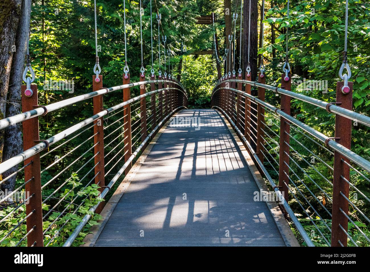 A suspension bridge in forest Stock Photo - Alamy