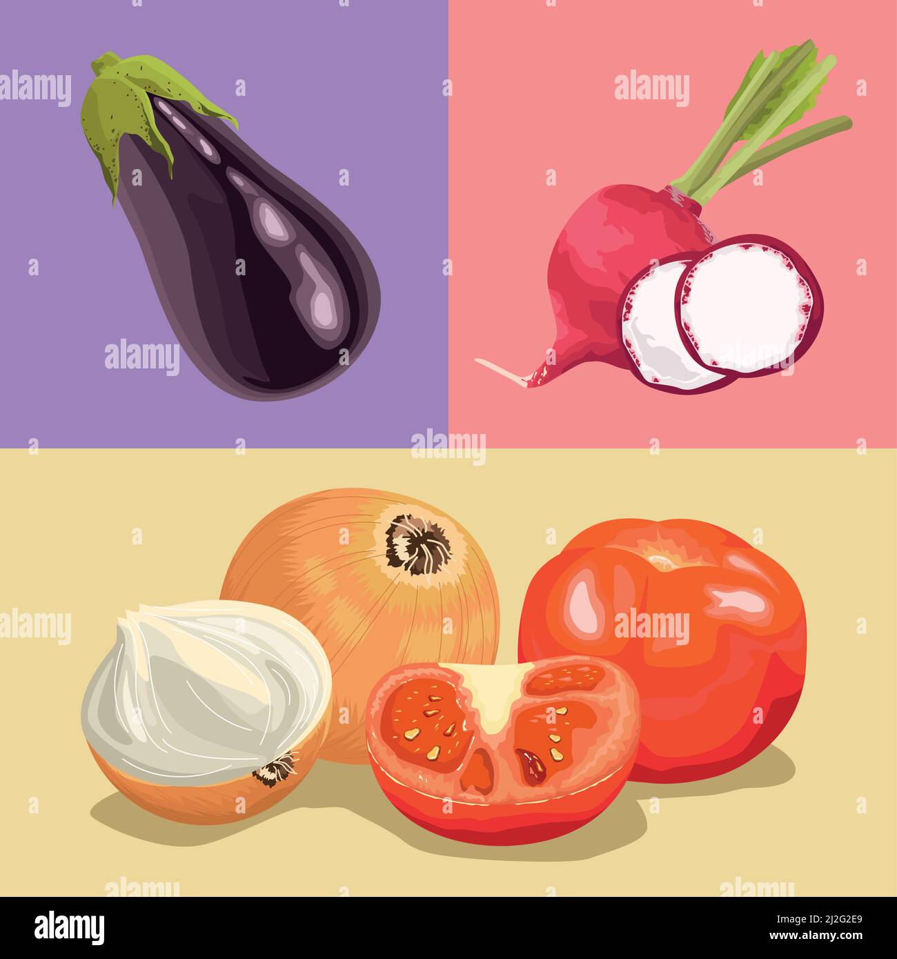 Four tomatoes Stock Vector Images - Alamy