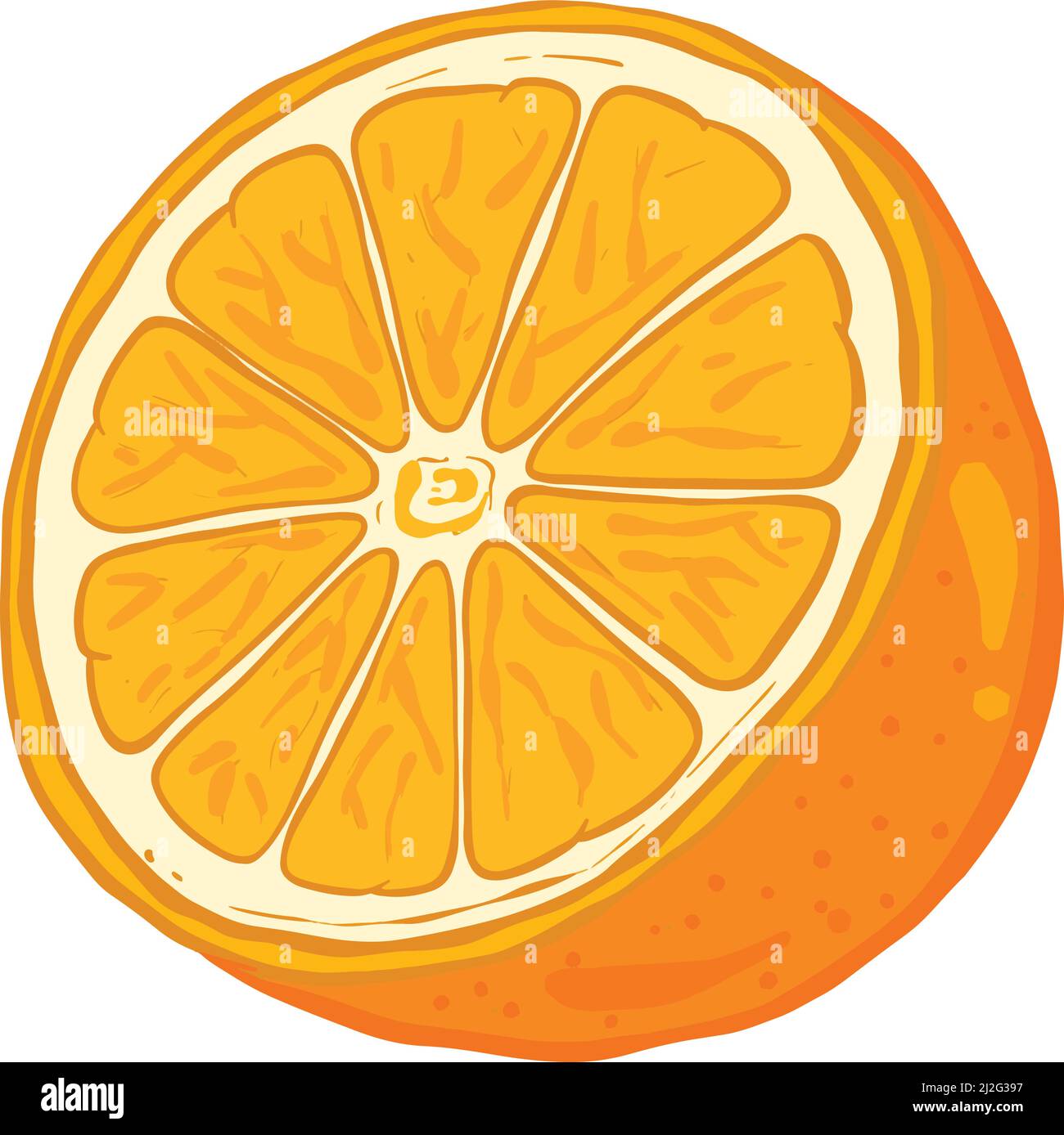 Cartoon Illustration Style Orange Fruit Cut Slice Stock Vector Image ...