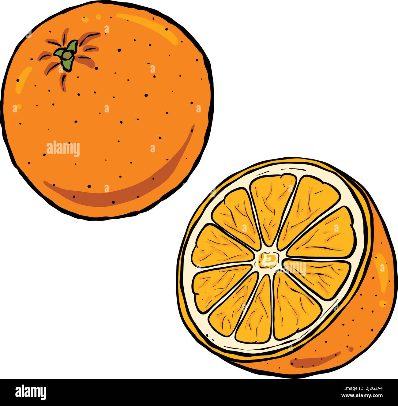 Cartoon Illustration Style Orange Fruit Cut Slice Stock Vector Image ...