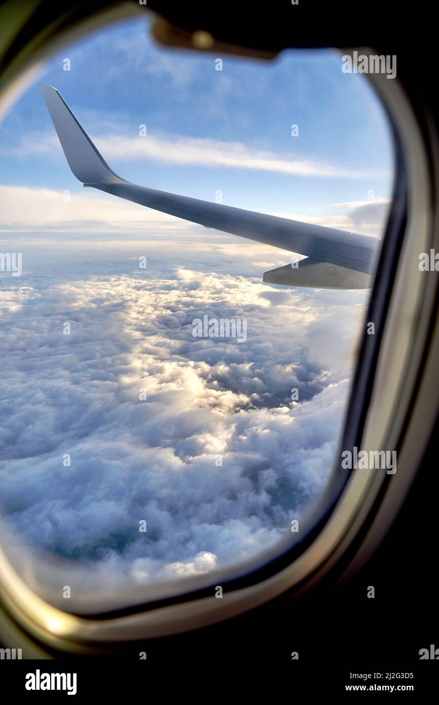 Airplane Window