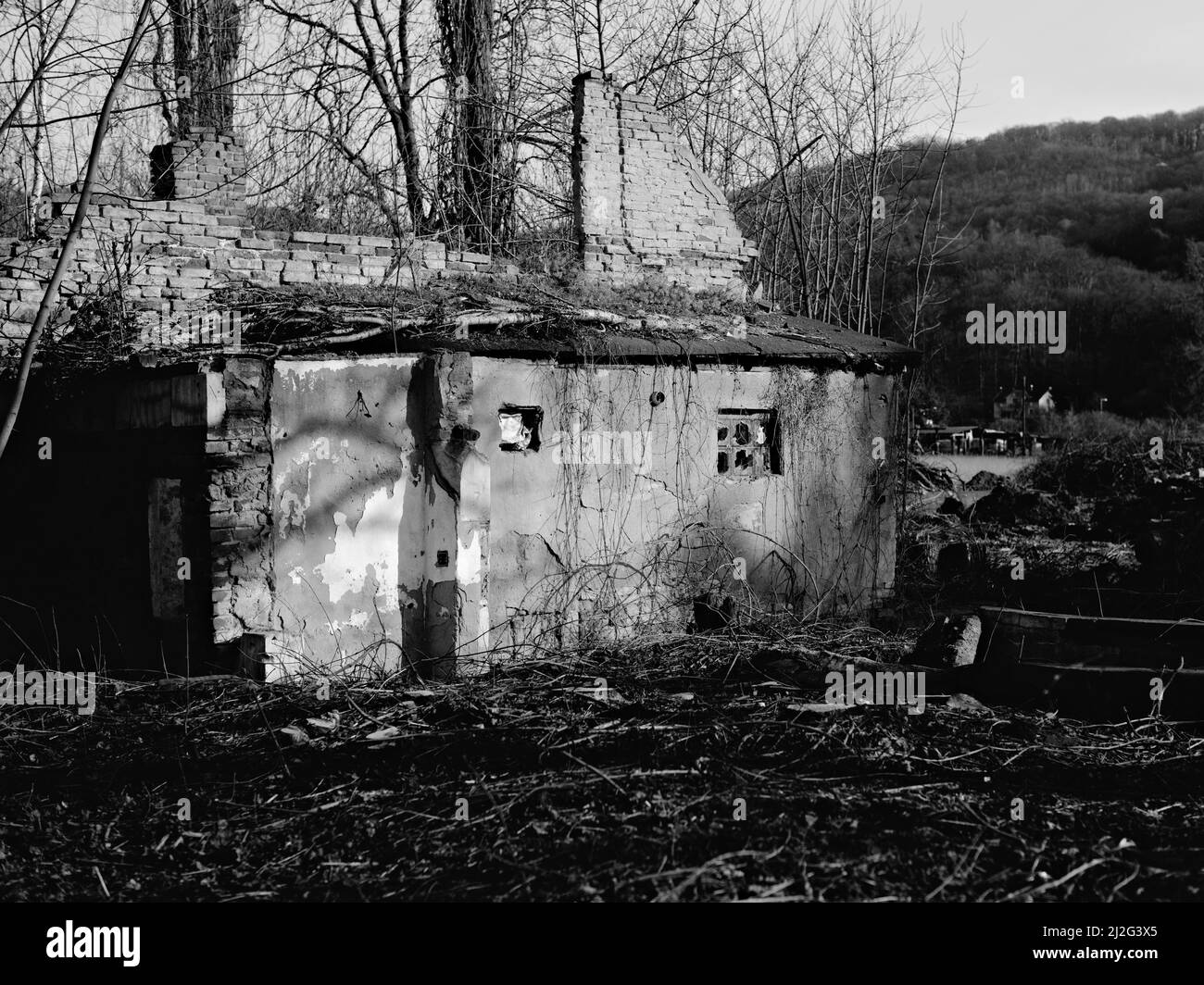 A grayscale shot of a rusted old abandoned house in the middle of the ...