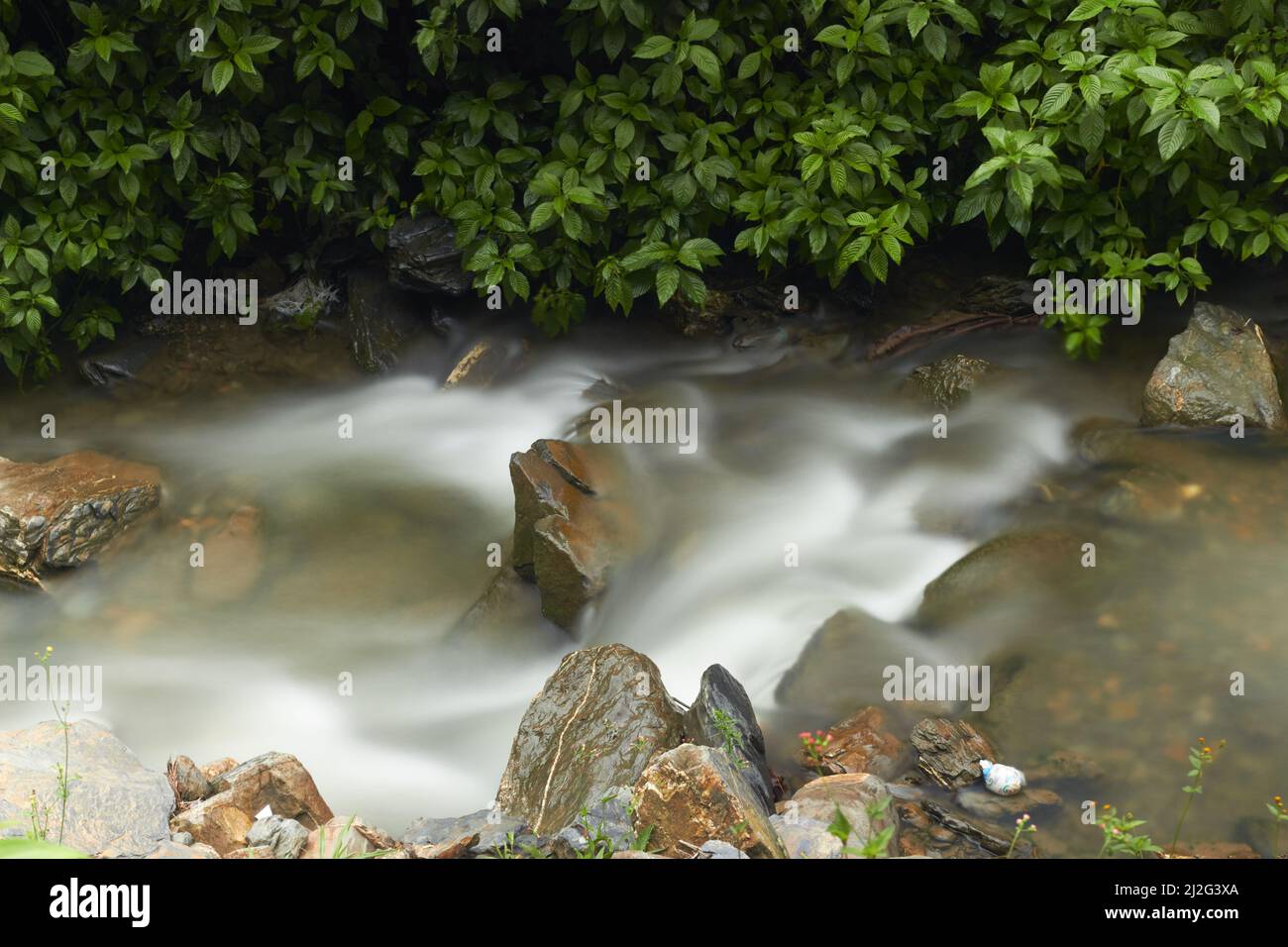 A closeup of a beautiful waterfall stream with rocks in it and lush ...