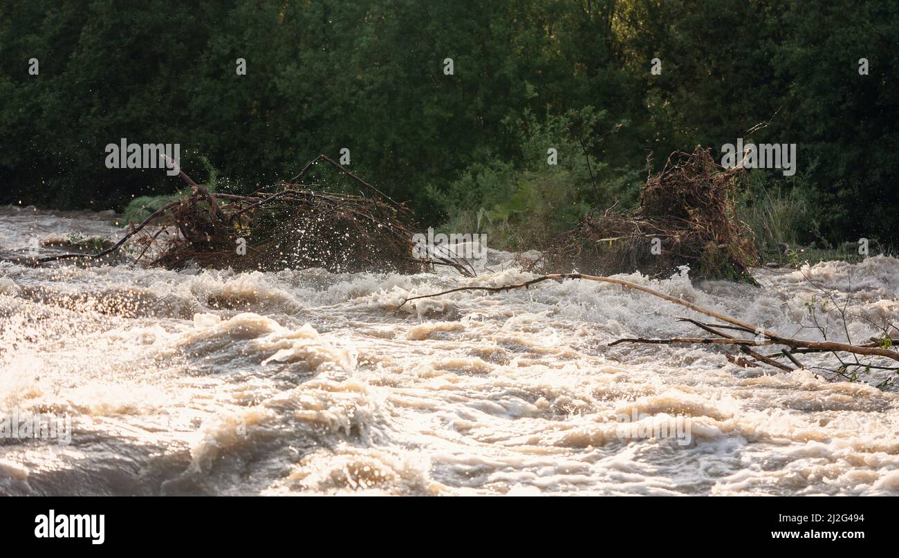 Sun shines on dirty flood water flowing rapidly in river, taking some ...