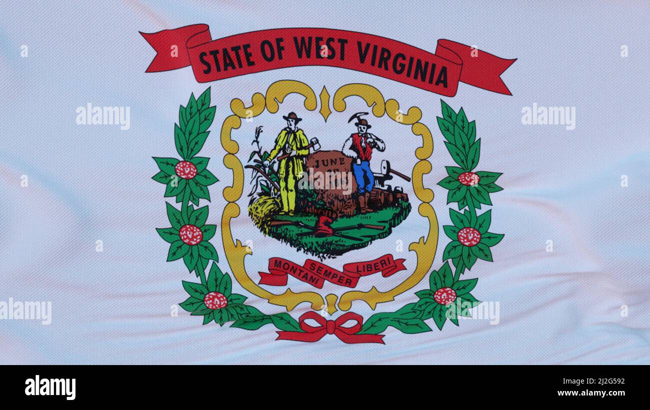 Flag of West Virginia state, region of the United States, waving at ...