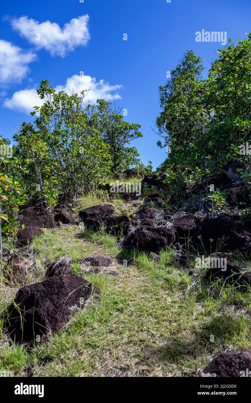 Hiking trail „Trace Jaune“, Terre-de-Bas, Iles des Saintes, Les Saintes ...